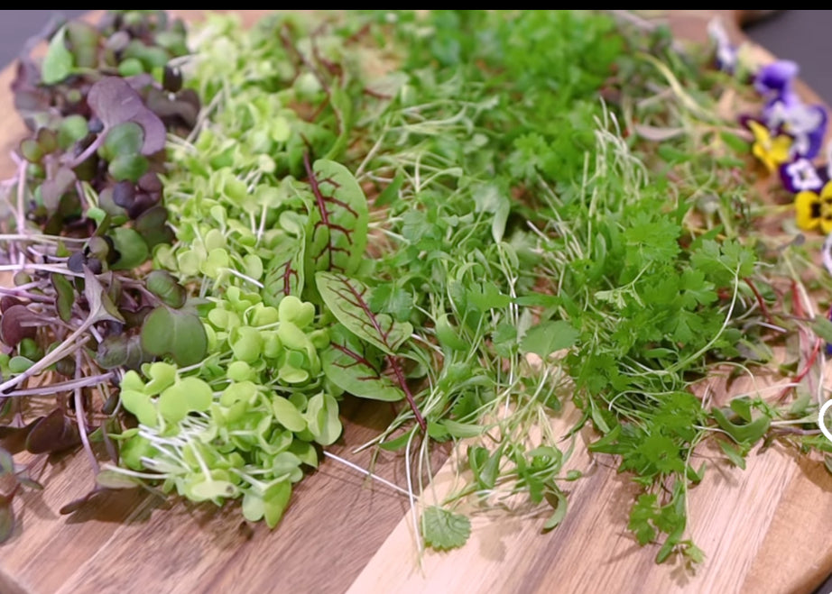 Products – Seriously Green Farms